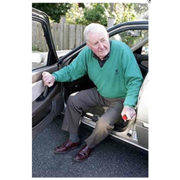 Auto Bar Car Assist Grab Bar